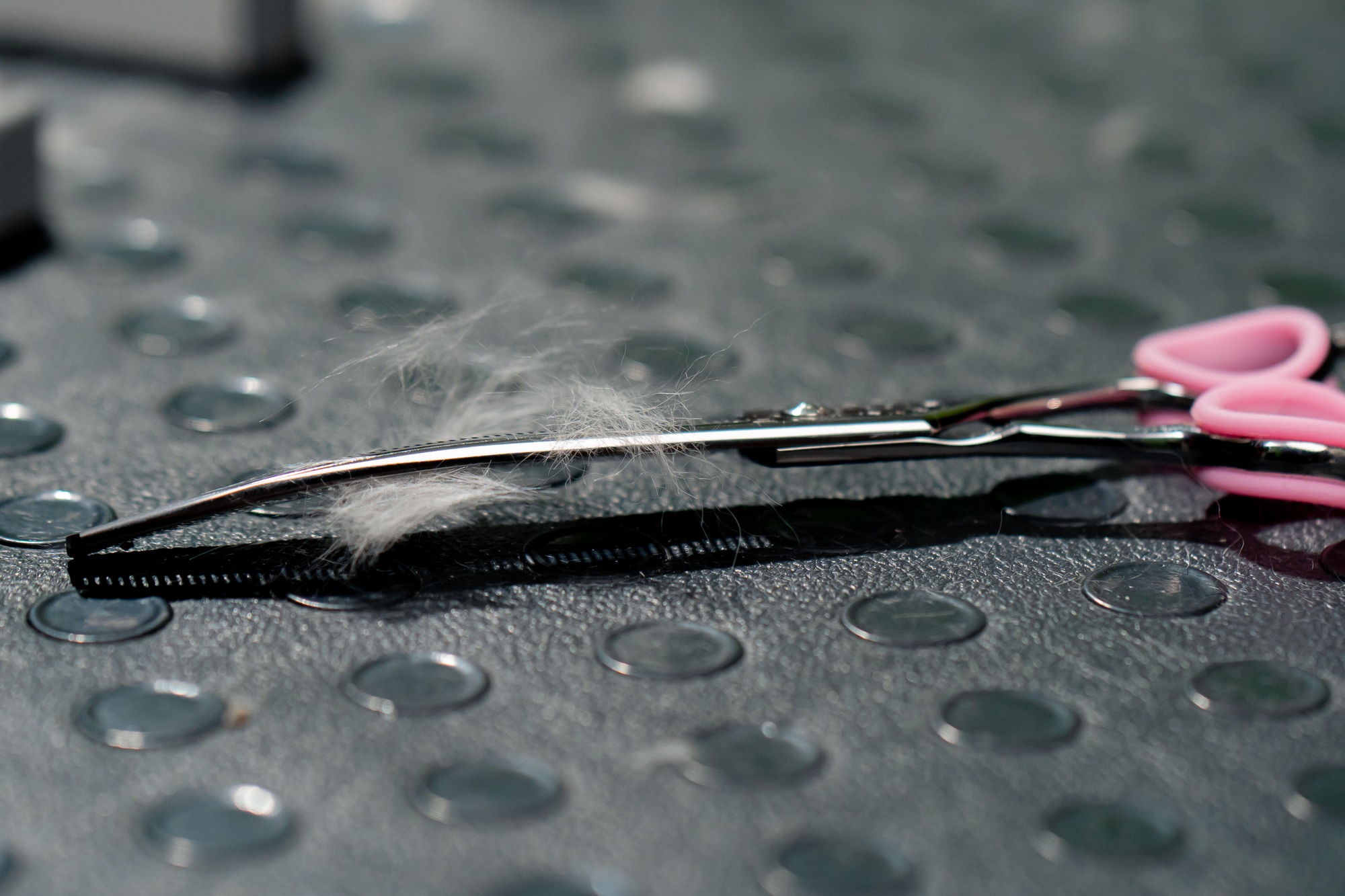 Expert Clipper Blade Sharpening Services In Melbourne
